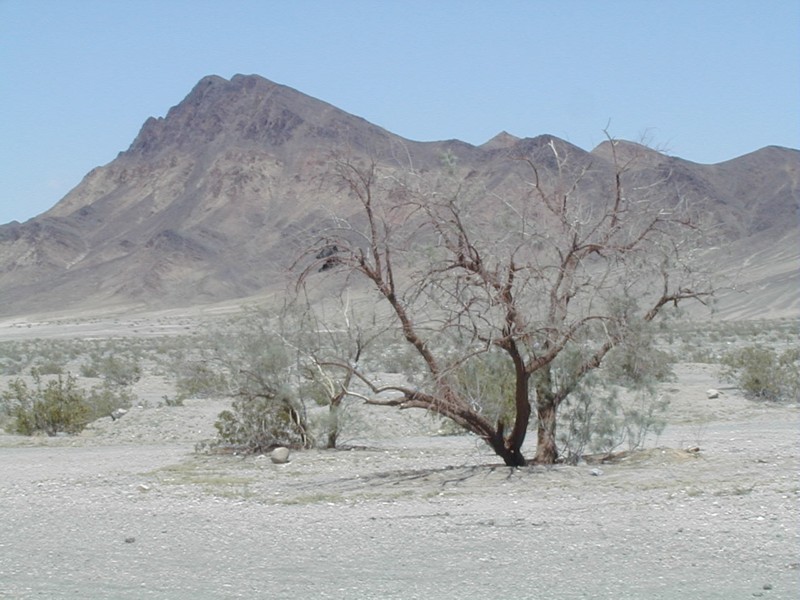 Quintessential California Tours - California Destinations - Desert